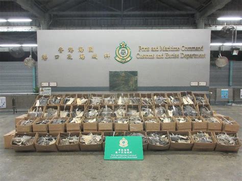 香港海關檢獲懷疑受管制乾魚翅（附圖）