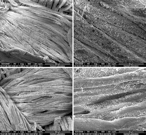 SEM Images Of Cationized Cotton Fabrics Deposited With ZnO ZnO 10 Layer