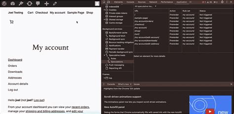 如何使用 Speculative Loading 推測性加載來提高 WordPress 網站的頁面速度 WP 網站技術