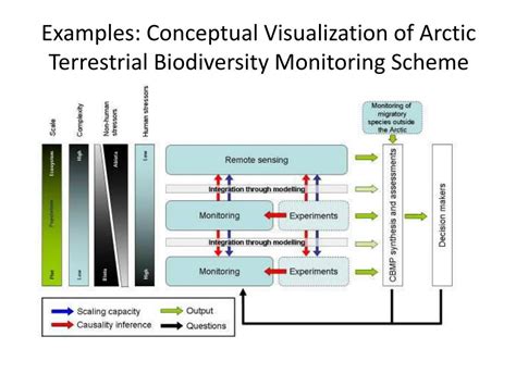 Ppt Circumpolar Biodiversity Monitoring Program Cbmp Powerpoint Presentation Id 2440259