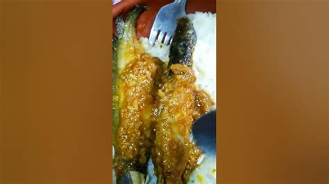 শিং মাছ শাহী ঝাল ভুনা Youtube