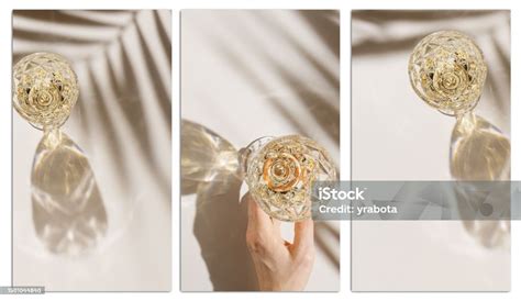 여자의 손에 화이트 와인이 있는 와인잔의 평면도 햇빛에 야자수 잎의 그림자 여름 술 음료 세로 이야기 배경 미적 플랫 레이 라이프 스타일 베이지색 화이트 와인에 대한 스톡