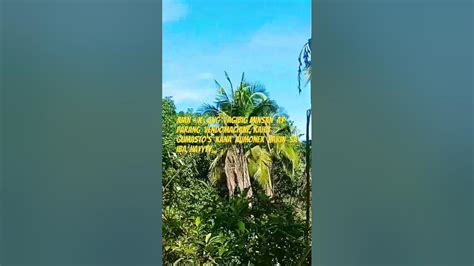 Juan K Environmental Beauty 🌏♥️🌈pls Support And Share And Like