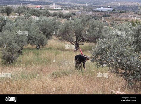 Contro La Colonizzazione Immagini E Fotografie Stock Ad Alta
