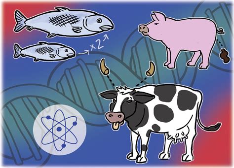 Genetic Engineering Biotech And Bioethics Issues Online