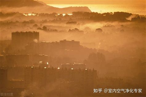 臭氧污染怎么治理更科学？生物技术专家推荐这样做 知乎