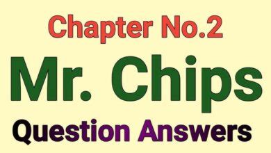 12th Class English Good Bye Mr Chips Chapter 2 Short Question Answer