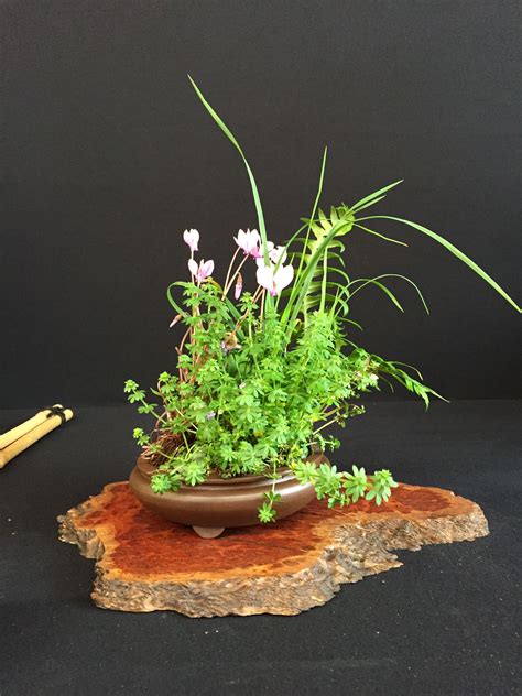 Épinglé par まるちゃん sur 植物栽培 en 2024 | Jardins miniatures, Ikebana, Jardins