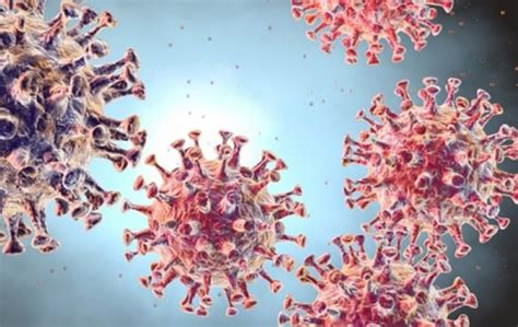 Korona Virus I Teorije Zavere PCNEN