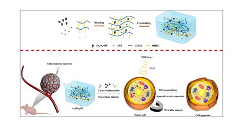 Design Of An Injectable Magnetic Hydrogel Based On The Tumor Microenvironment For Multimodal