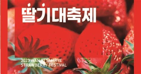 새콤달콤 즐겨요…완주군 삼례딸기 축제 4년만에 열려