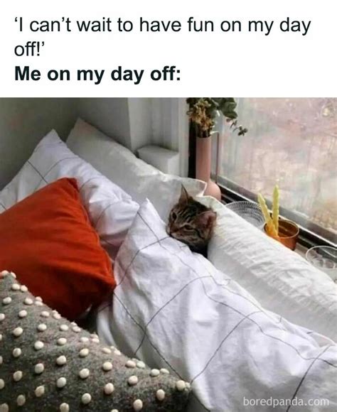 40 Funny Memes And Jokes To Tickle Your Funny Bone Bored Panda