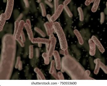 박테리아 미생물 박테리아 군집 살모넬라 박테리아 스톡 사진 750553600 Shutterstock