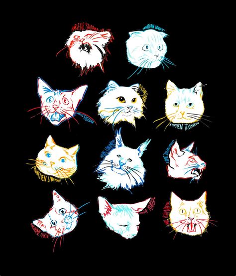 Les chats ou ceux qui frappent et ceux qui sont frappés Marlène
