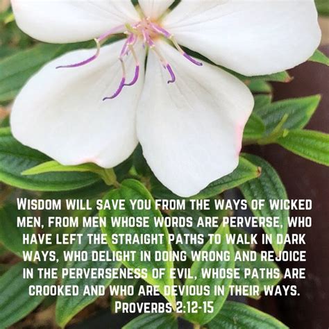 Proverbs 2 12 15 Wisdom Will Save You From The Ways Of Wicked Men From