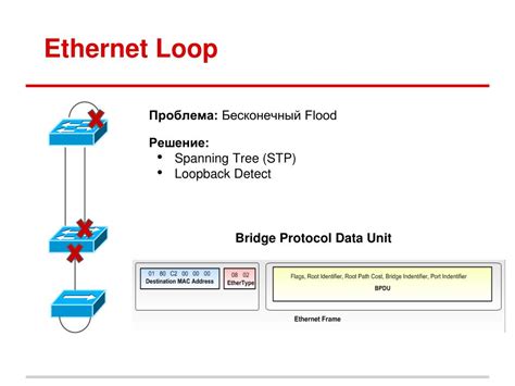 Ppt Cеть предприятия подключение к Интернет сетевая безопасность Powerpoint Presentation Ppt Cеть предприятия подключение к Интернет сетевая безопасность Powerpoint Presentation