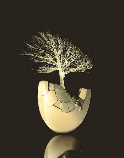 Qegg | All About Eggs Wiki | Fandom