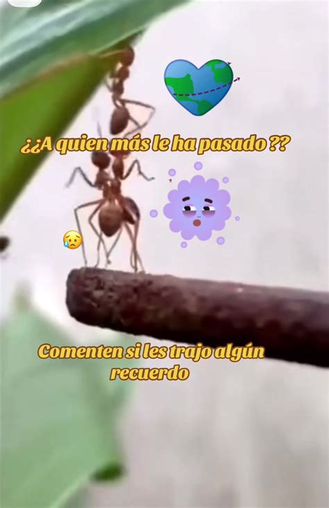 Timsb Timsb35 S Videos With Sonido Original Arsenio Barrios 😀 Tiktok