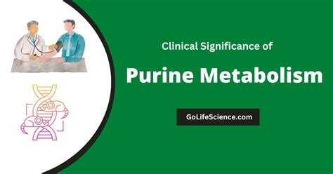 Purine Metabolism