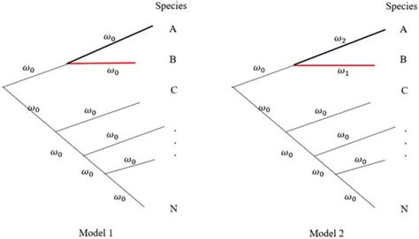 A Community Based Framework Integrates Interspecific Interactions Into