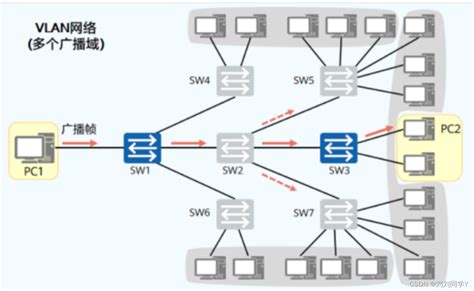 Vlan Vlan Csdn