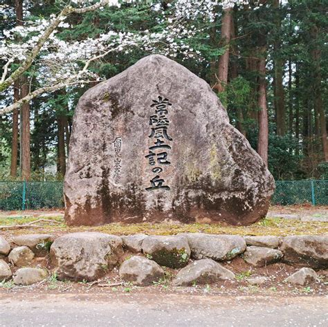 「常陸風土記の丘」のさくらまつりに行ってきました（茨城・石岡） ヒヨコのマメログ