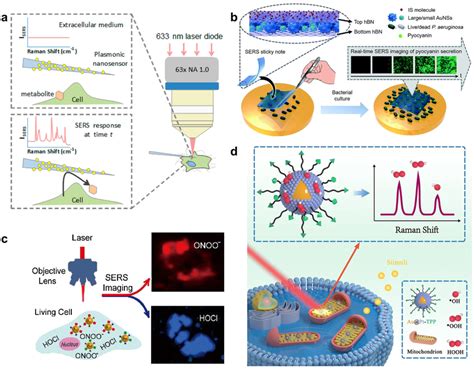 a schematic illustration of multiplexed protein biomarker detection