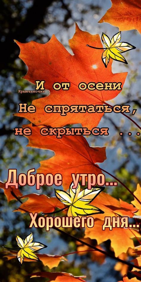 Доброе утро Автор Елега Доброе утро Осенние картинки Счастливые