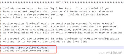 Nfig 配置 深度剖析redis Config Csdn博客