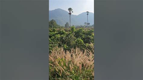 ភូមិតាំងសំរោង ឃុំអមលាំង ស្រុកថ្ពង ខេត្តកំពង់ស្ពឺ Cambodiatourism Travel Happynewyear Youtube