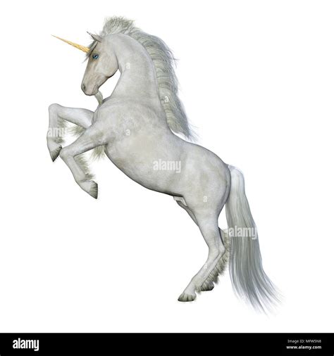 White Unicorn Wallpaper