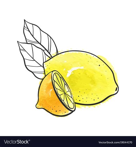 Lemon Drawing