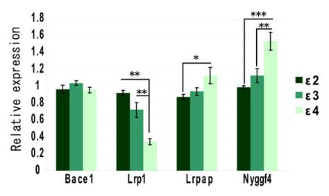 Expression Of Lrp1 Nyggf4 Bace1 And Lrpap In A Mouse Model Of