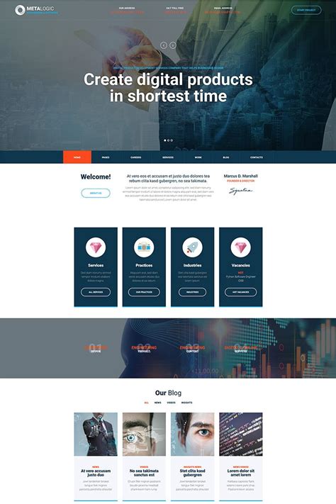 Metalogic Software Development Wordpress Theme Site Web Design