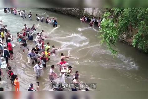 小伙子钓鱼不用鱼竿，仅凭一个西瓜，就可抓鱼抓到手抽筋！鱼竿西瓜小伙子