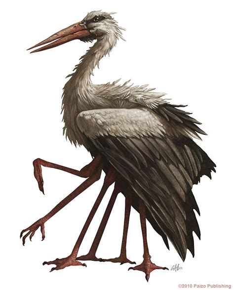 436 Best Pathfinder Paizo Images On Pinterest Monsters Fantasy