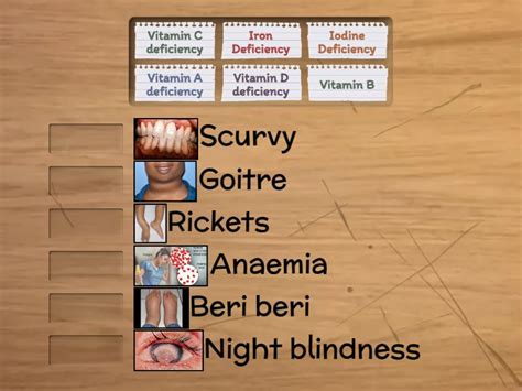 Revision Quiz 1 Match Up