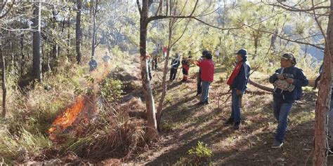 snap benguet and npc equip communities with forest fire response