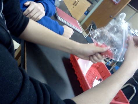 Ec Honors Biology Strawberry Dna Extraction Lab