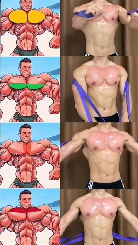 Pin By Tomas Gonzalez Rodriguez On Rutinas De Entrenamiento Best Gym