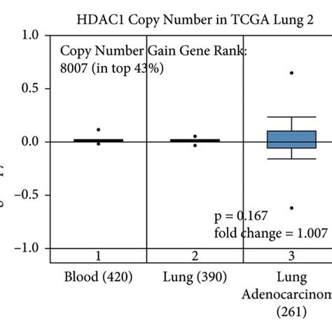 dna copy number and mrna levels of hdac1 in luad the dna copy number