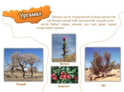 Mongol Ornii Baigaliin Busiin Tuhai
