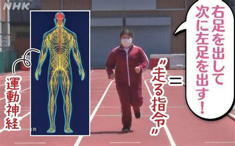 “運動神経がいい”って何？どういうこと？ ステラnet
