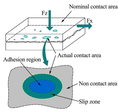 Actual Contact Diagram Of Micro Convex Body Download Scientific Diagram