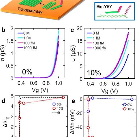 A Schematic Of Peptide Co Assembly Process With Qy5 And Bio Y5y On