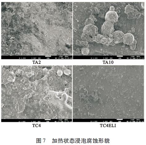 石油领域用耐蚀TC4 TA2钛合金管电化学特性与选材研究 宝鸡市立坤钛业有限公司