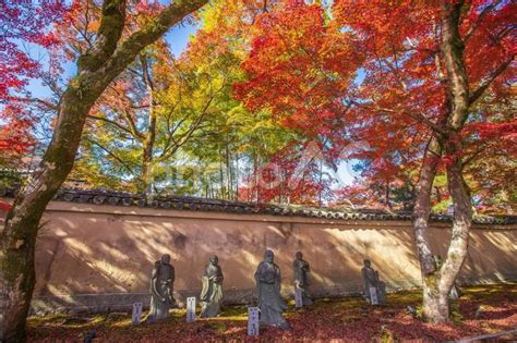 京都府 宝厳院の紅葉 No 27455037写真素材なら写真AC無料フリーダウンロードOK