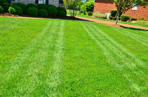 Free Images Plant Field Meadow Pasture Backyard Garden