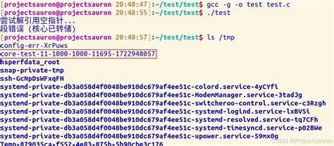 Linux 中 Core Dump 异常的分析 Yuxxxxxxxxxx