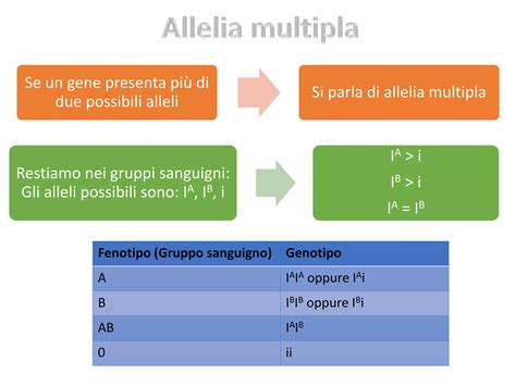 Leggi Di Mendel Le Eccezioni E Le Patologie Genetiche Ppt